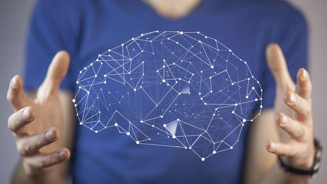 David Rock's SCARF Model: Neuroscience in the Workplace