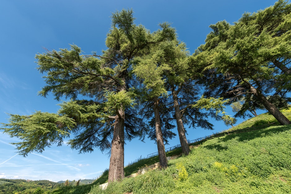 Now You're Talking! Performance Conversations - Anna Wildman