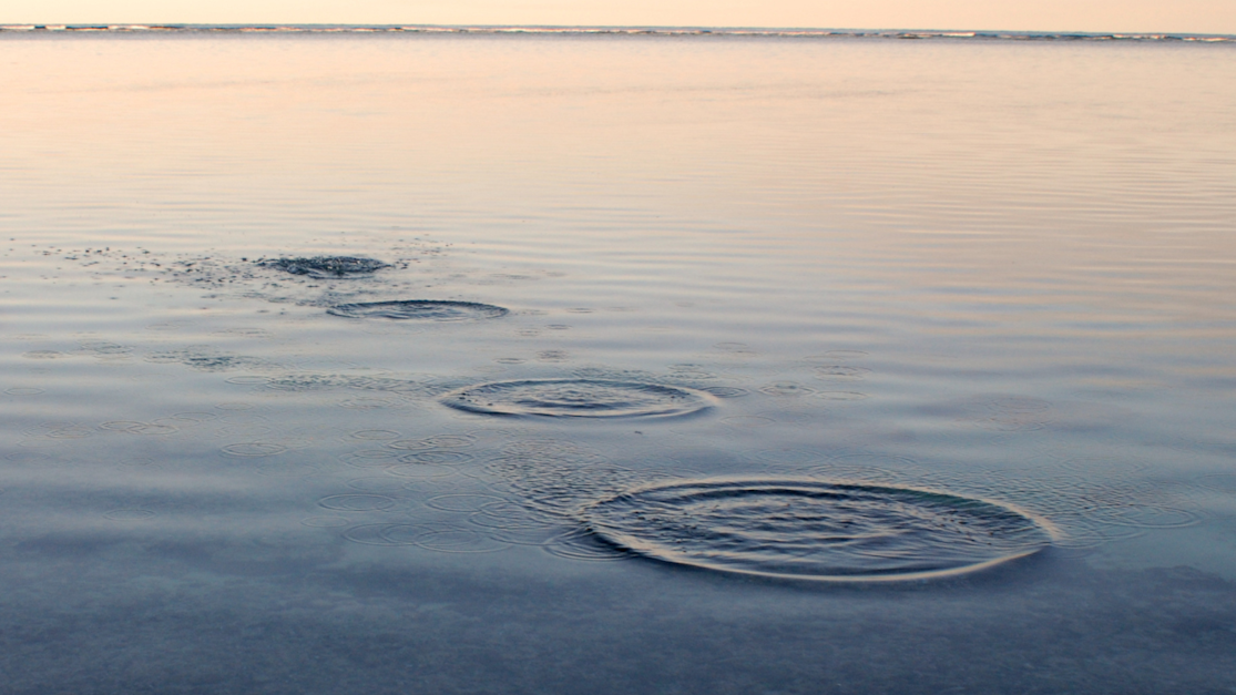 Skip-Level Meetings - Bringing Leaders and Employees Together