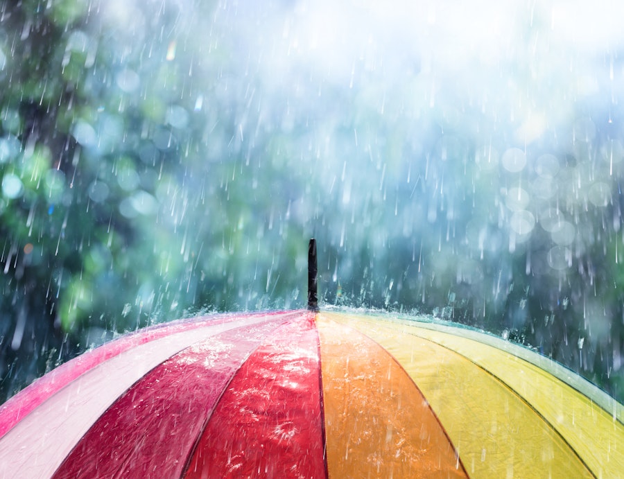 The 4 Traits of Resilient People