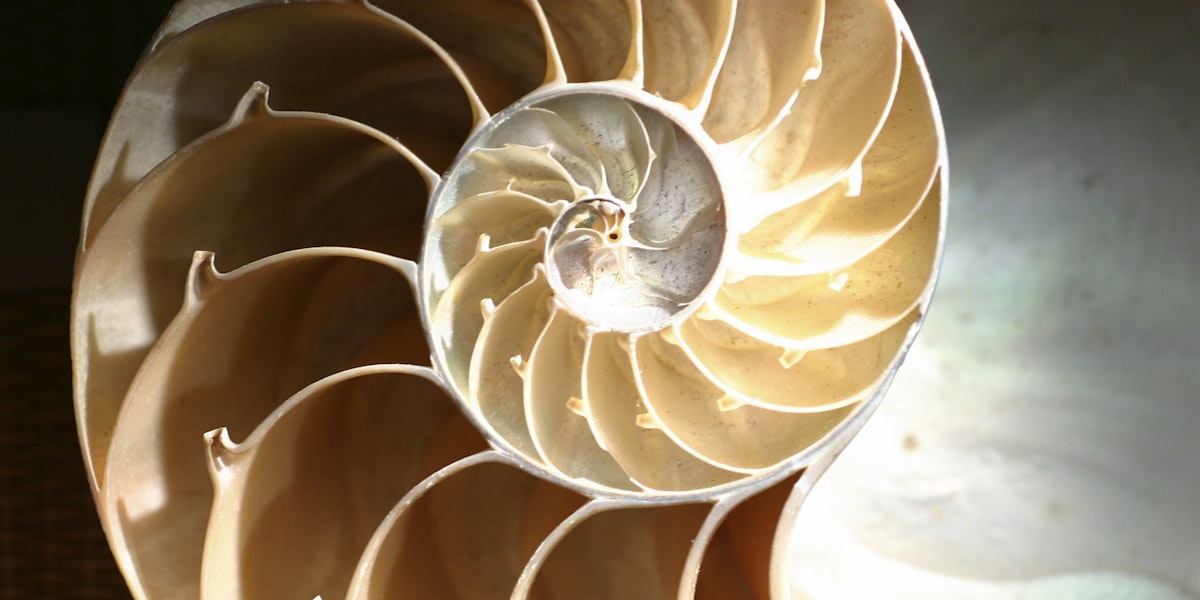 The Nonaka Takeuchi Knowledge Spiral - Creating and Managing New Knowledge