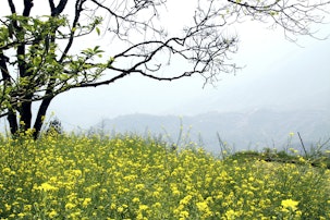 Burnout Self-Test - Checking yourself for burnout