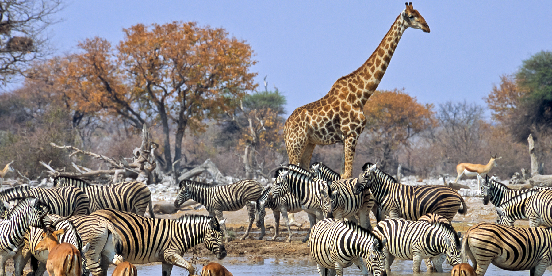 How to Run a World Cafe™ - Learning Together in a Fun and Friendly ...