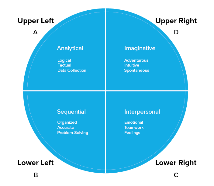 Herrmann's Whole Brain® Model - Maximizing Your Thinking Power