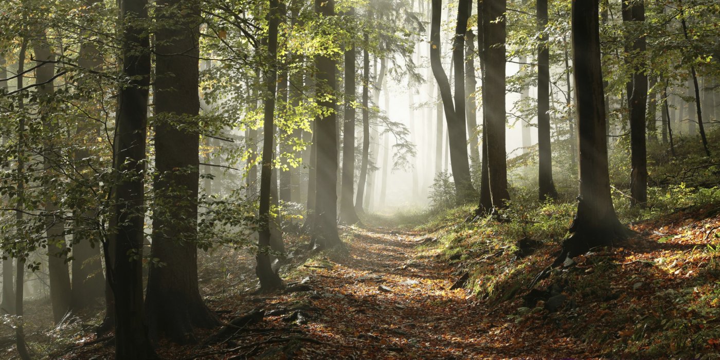 10 Common Decision-Making Mistakes - Avoiding the Pitfalls