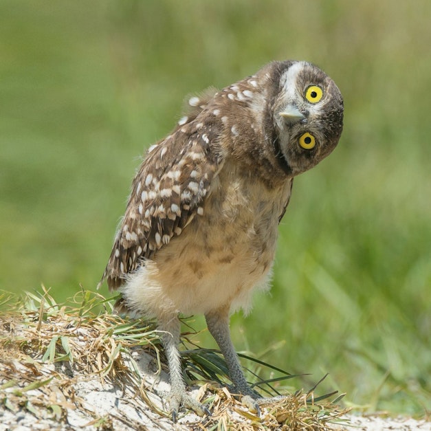 8 Ways to Improve Your Powers of Observation - Paying Attention and ...