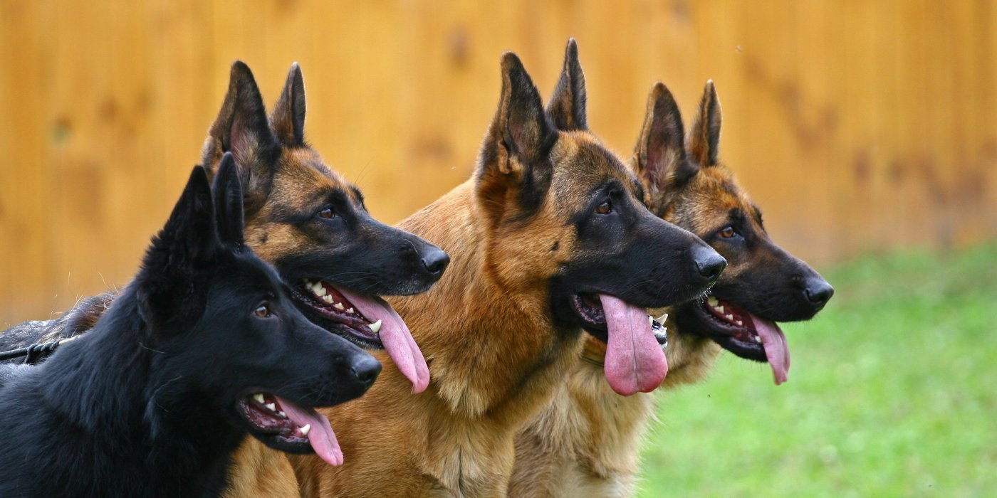 Active Training - Engaging People With Team Learning