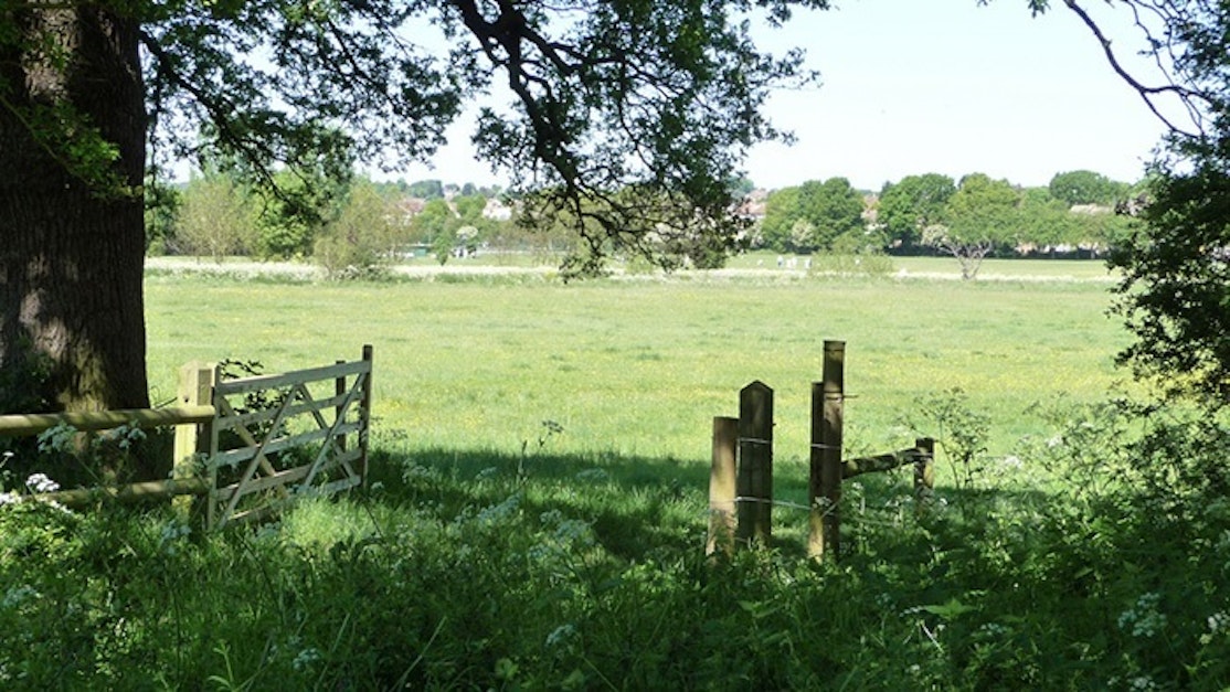 After the Horse has Bolted: The Exit Interview