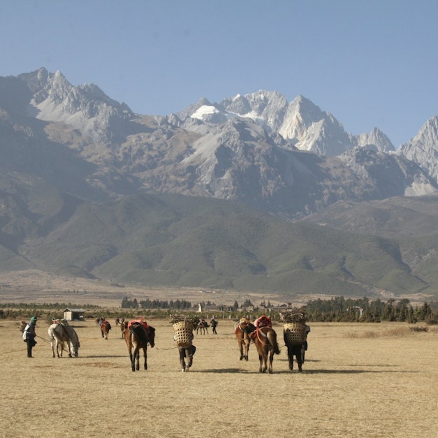 Agile Talent: How to Source and Manage Outside Experts - Jon Younger ...