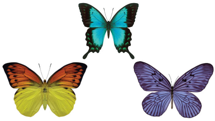 An Introduction to Action Research