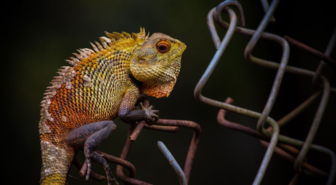 Being Flexible and Adaptable