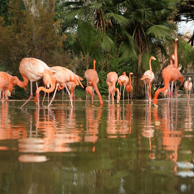 Benne and Sheats' Group Roles - Identifying Both Positive and Negative ...