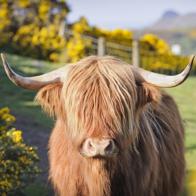 Blindspot Analysis - Avoiding Common "Fatal Flaws" in Decision Making