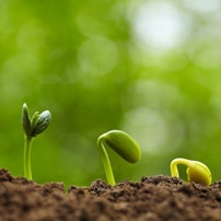 Beckhard and Harris' Change Equation - Overcoming Resistance to Change