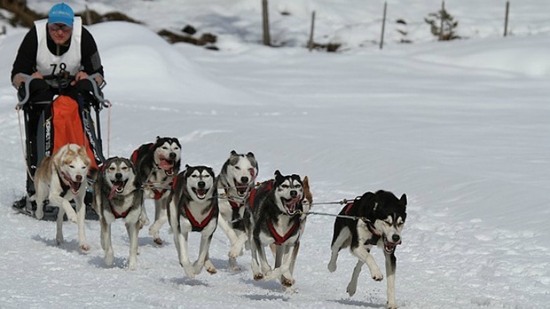 Chris Huxham: Collaborative Advantage