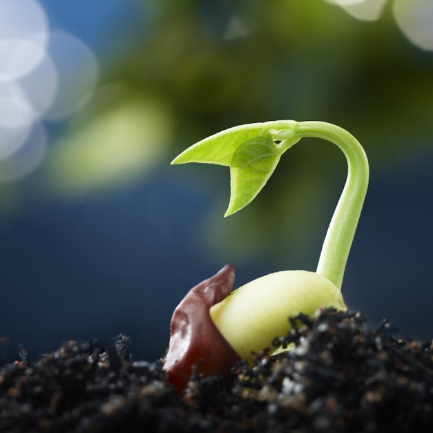 Coaching for Talent Development - Helping People Become More Effective