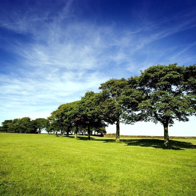 Communicating in a Crisis - Don’t Shut Down Communication