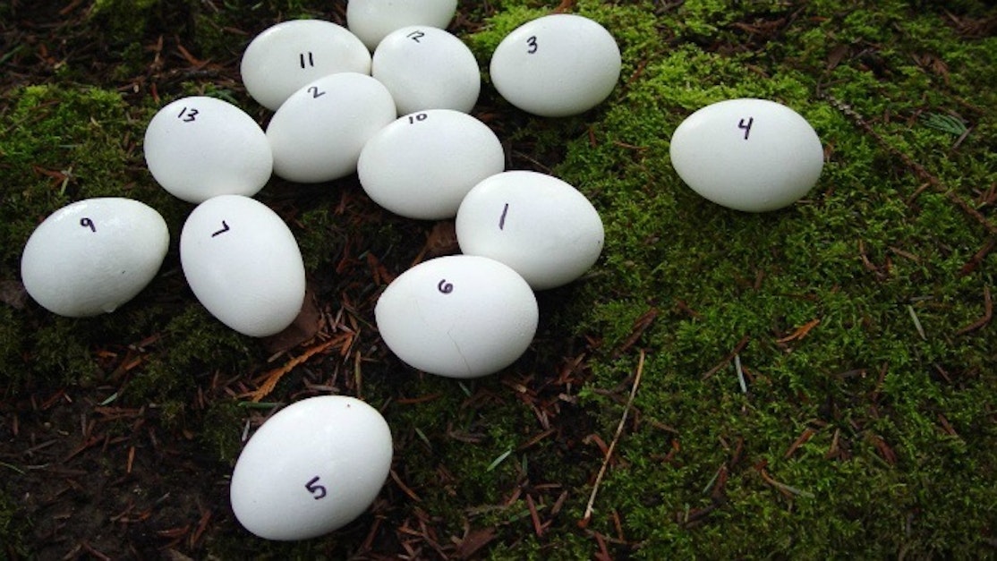 Counting Your Chickens: a Strategy Exercise