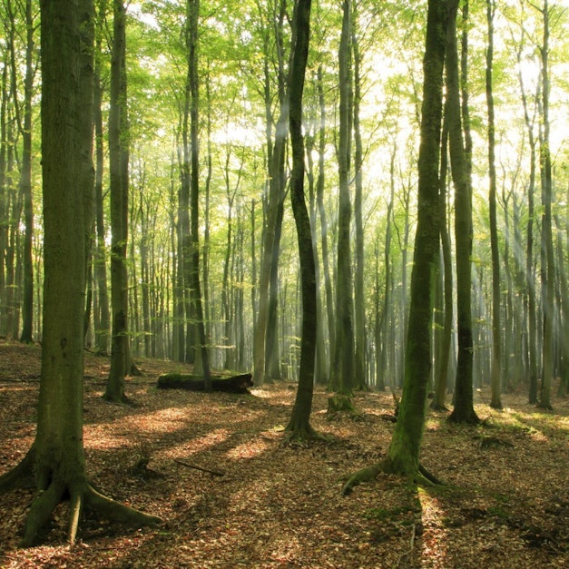 Critical to Quality (CTQ) Trees - Translating Broad Customer Needs Into ...