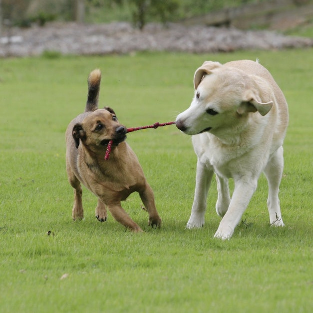 Dealing With Conflicts of Interest - Identifying and Avoiding Unethical ...