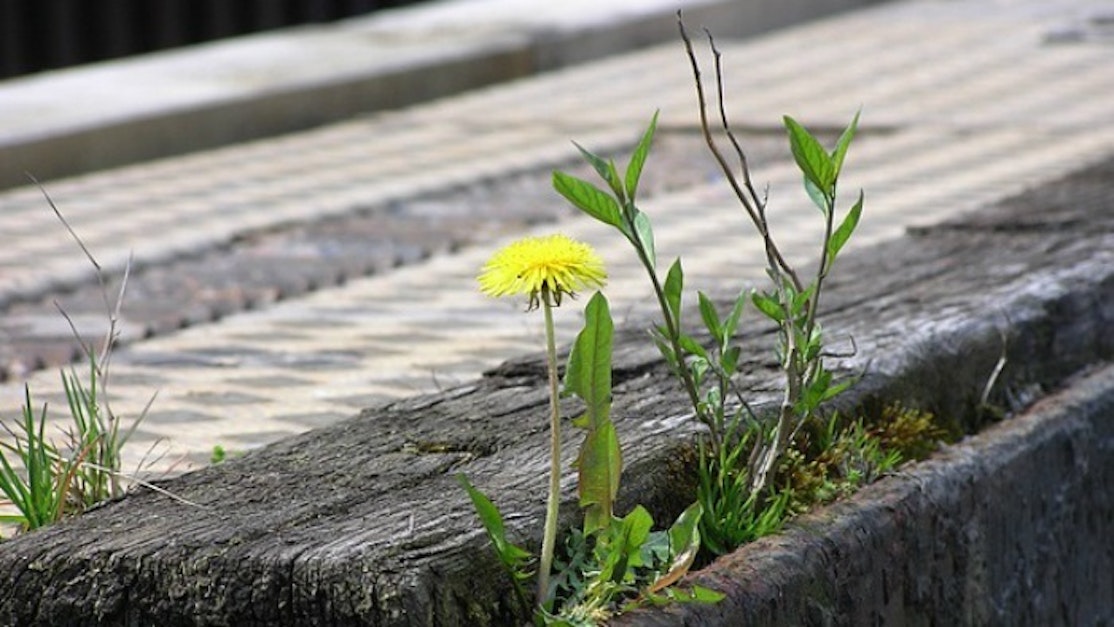 Discussing Resistance to Change With an Individual