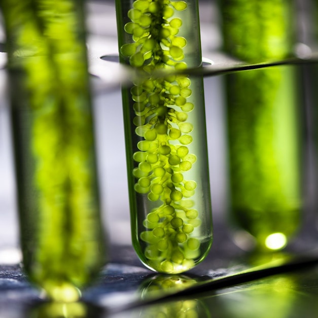 Experimentation Works: The Surprising Power of Business Experiments ...