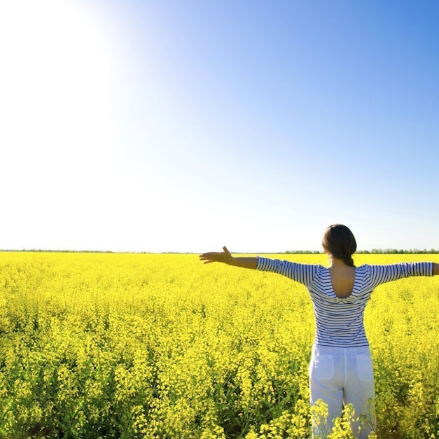 Flourish: A Visionary New Understanding of Happiness and Well-Being ...