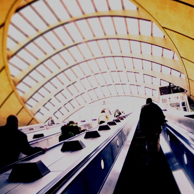 From Bud to Boss: Secrets to a Successful Transition to Remarkable ...