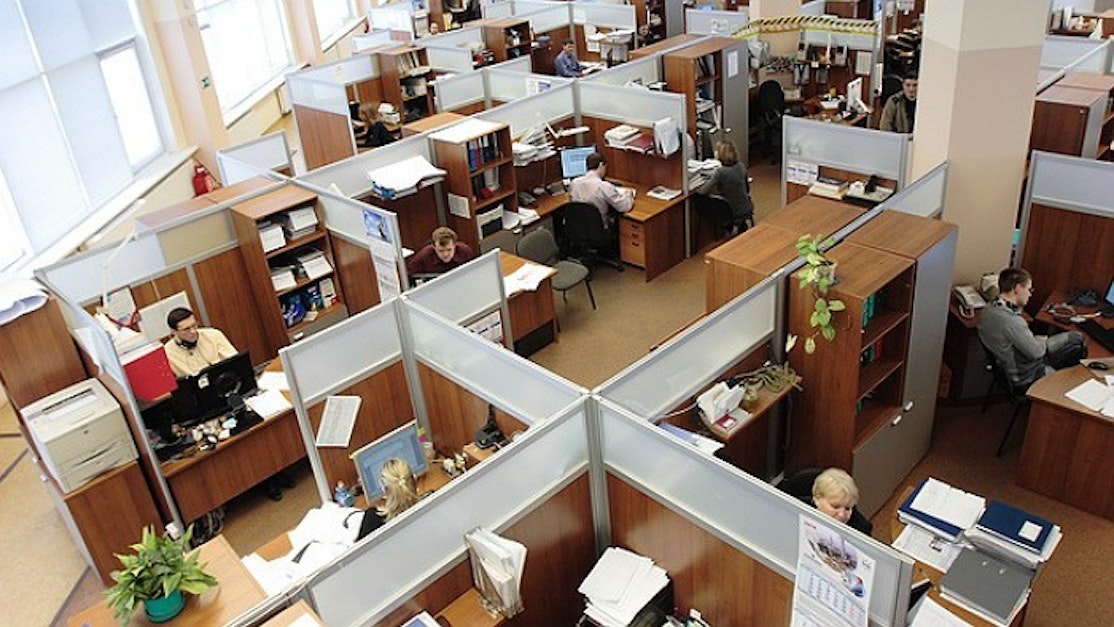 Goffee and Jones' Cultural Model