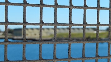 Bain’s RAPID® Framework