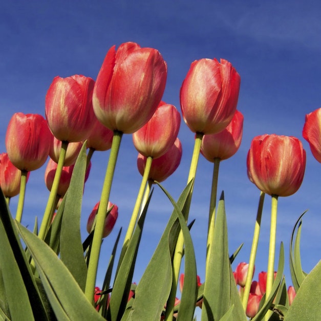 How to Be a Positive Leader - Gretchen Spreitzer