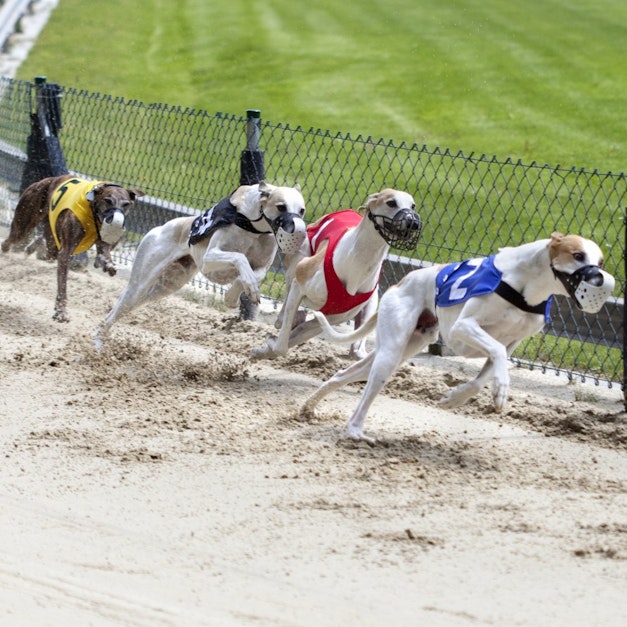 How to Manage Rivalry in the Workplace - Avoiding the Negative Effects ...