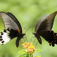 The Conflict Layer Model - Clarifying Needs During Negotiations