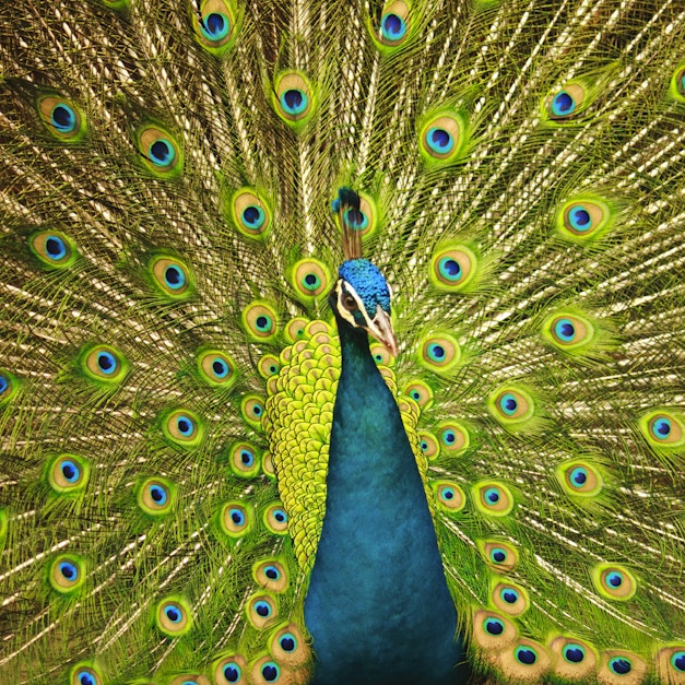 Intentional Change Theory - Achieving Manageable, Meaningful Change