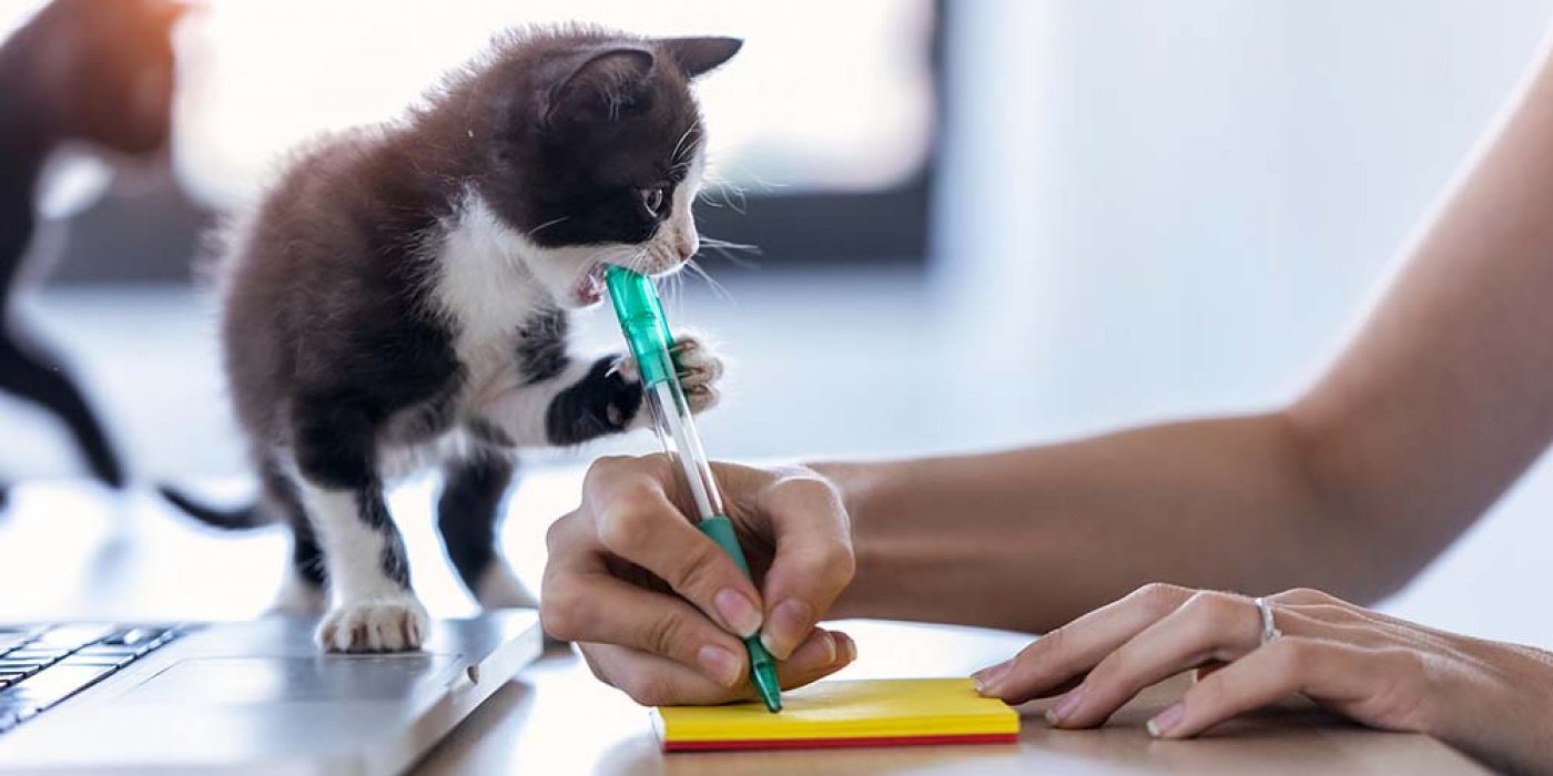 Interruptions - 10 Ways to Minimize Stops and Starts