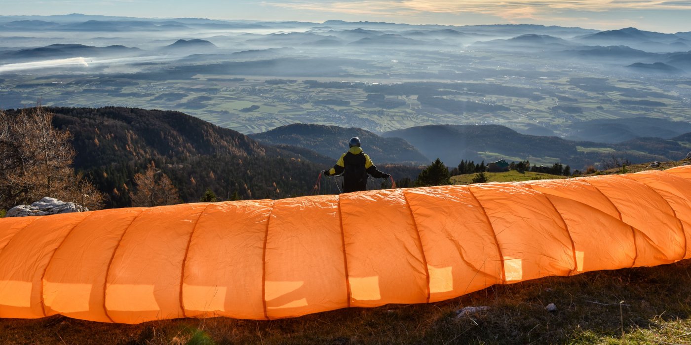 Lazarus and Folkman's Transactional Model of Stress and Coping