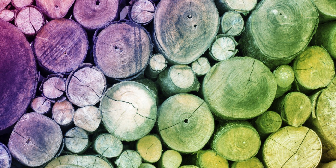 Logframes and the Logical Framework Approach - Planning Robust ...