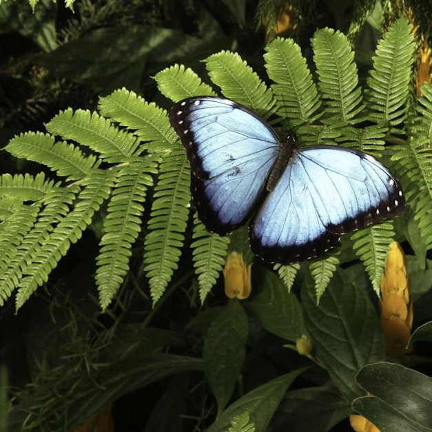 Managing Gifted People - Working With Brilliant but Challenging Team ...