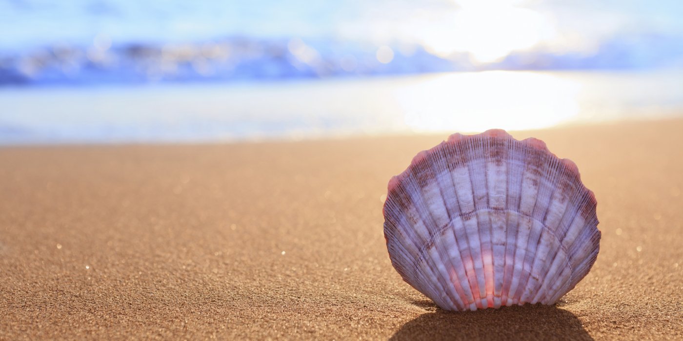 Managing Unsociable People - How to Get the Best From Solitary Team Members