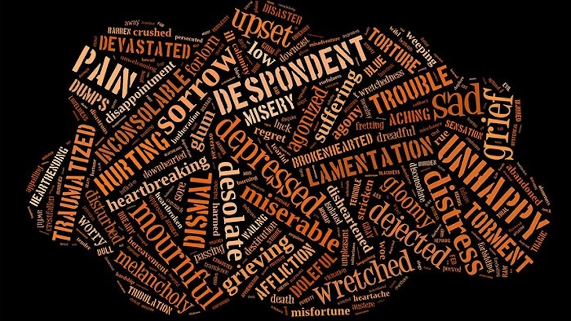 Mayer and Salovey: Emotional Intelligence