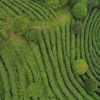 The Roman Room System - Remembering Grouped Information