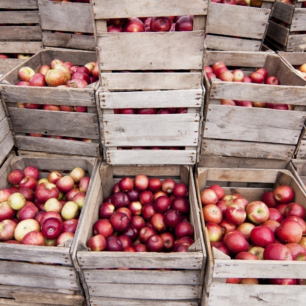 Organizing Disorganized People - Motivating Your Team to Change