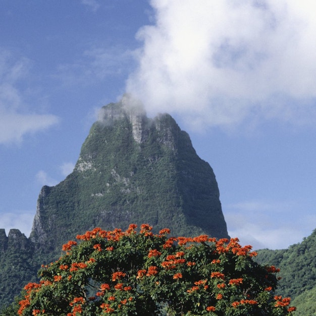 Peak: Secrets from the New Science of Expertise - Anders Ericsson and ...