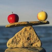 How to Do a TELOS Feasibility Study - Testing the Viability of a Project