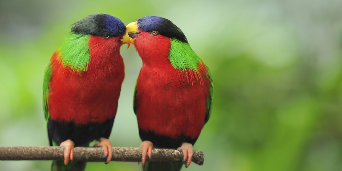 Rumors in the Workplace - Managing and Preventing Them