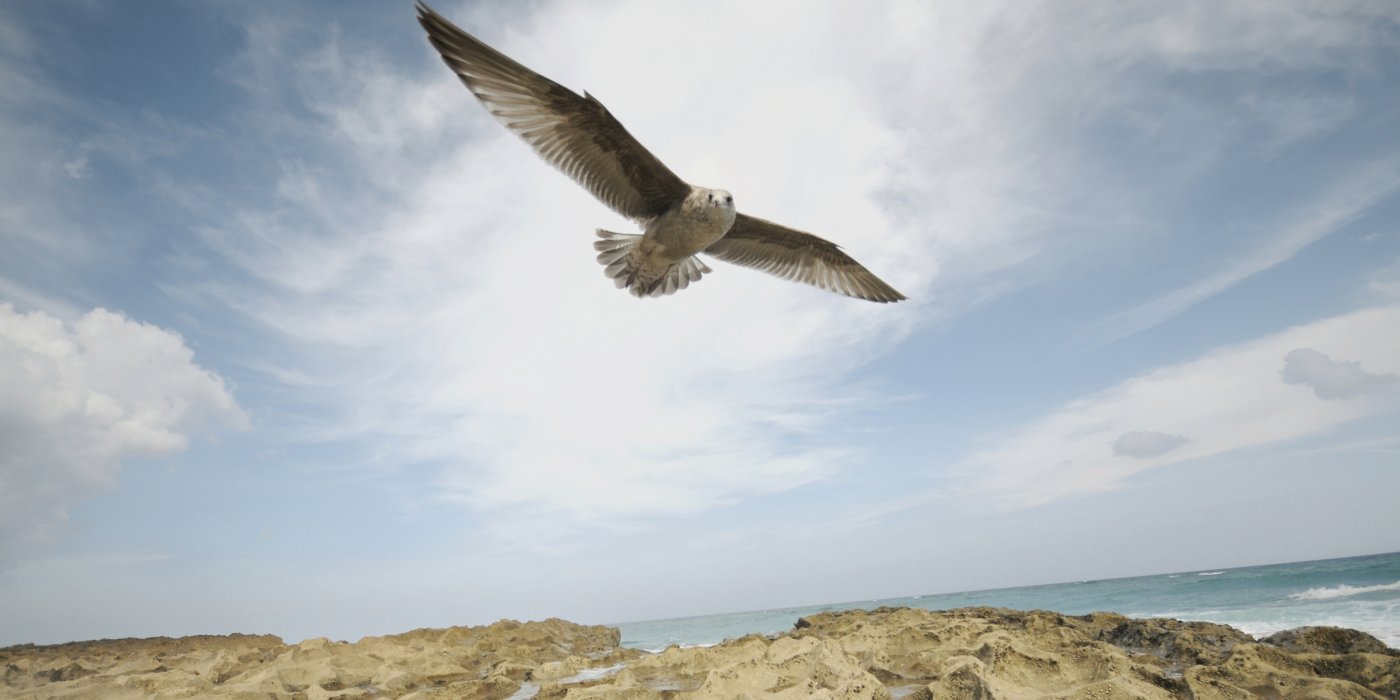 Snyder's Hope Theory - Cultivating Aspiration in Your Life