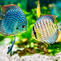 Hurson's Productive Thinking Model - Solving Problems Creatively