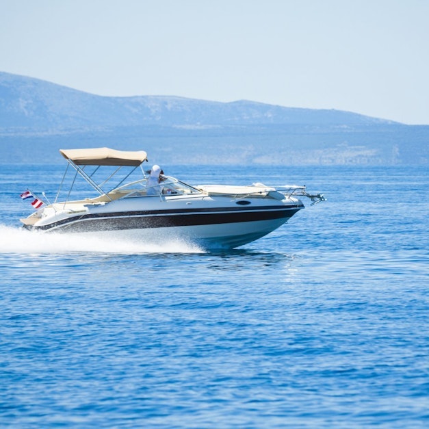 Strategic Speed: How to Accelerate Execution - Jocelyn Davis