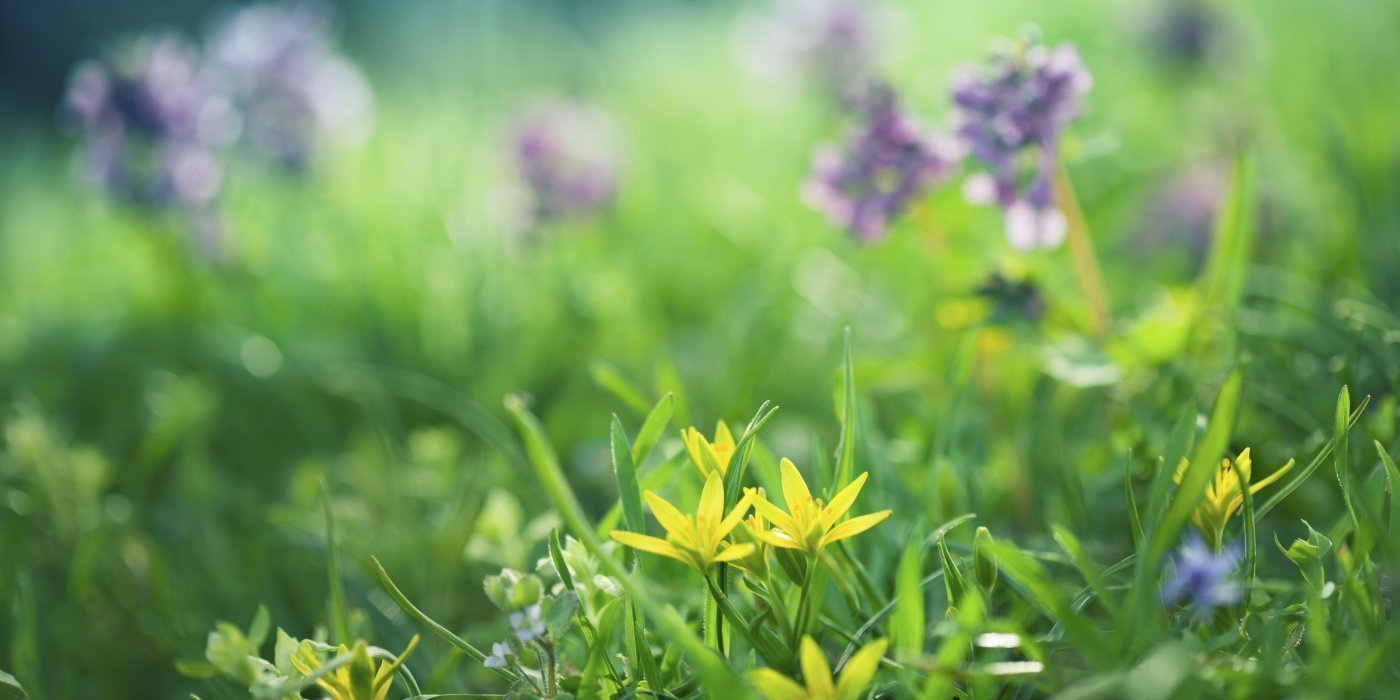 Surviving Long Work Hours - How to Thrive With a Demanding Schedule