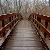 Cog's Ladder - Understanding and Accelerating Group Formation